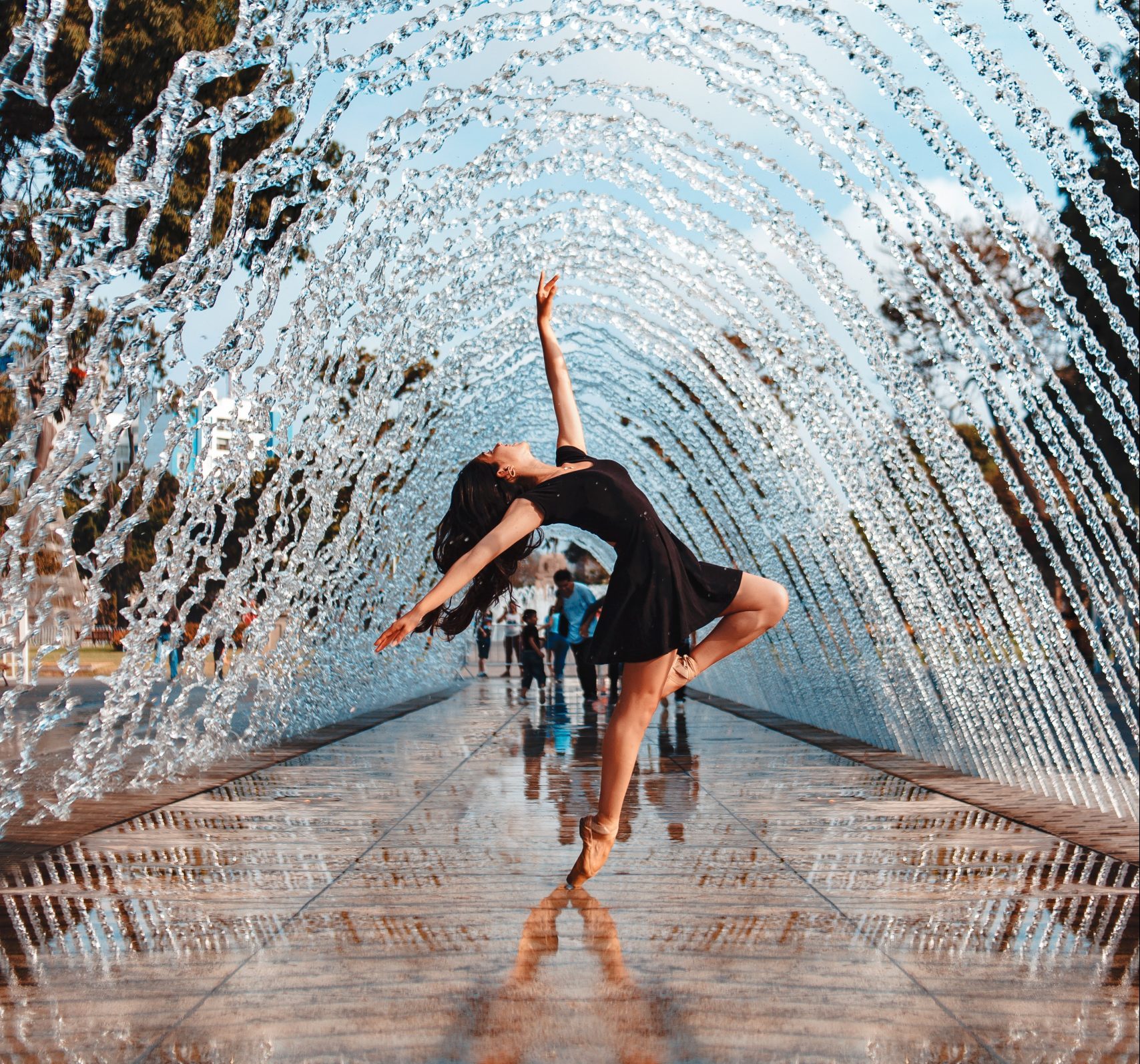 A VIDA É UMA DANÇA - WellNess