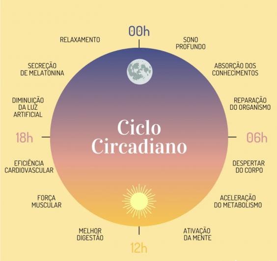 CICLO CIRCADIANO - WellNess
